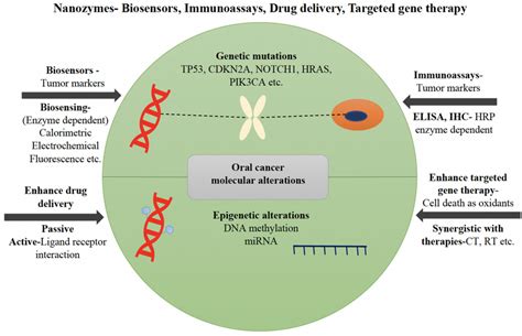 Schematic Illustration Of Molecular Alterations In Oral Cancer And Role Download Scientific