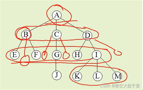 树的性质及其证明 Csdn博客