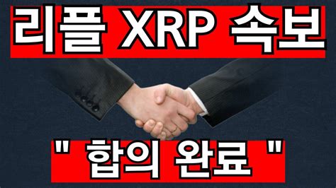 리플코인 고생 많으셨습니다 진짜 축하드려요 Youtube