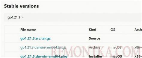 Как установить Golang на Windows РЕМОНТКА