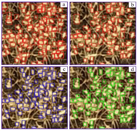 detection results after fusing multiresolution detection boxes using download scientific