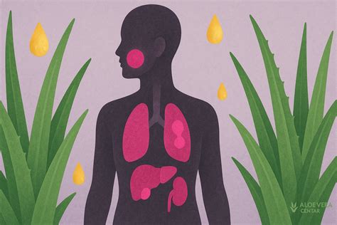 Lupus Symptoms How To Recognize Lupus And Help Yourself Naturally