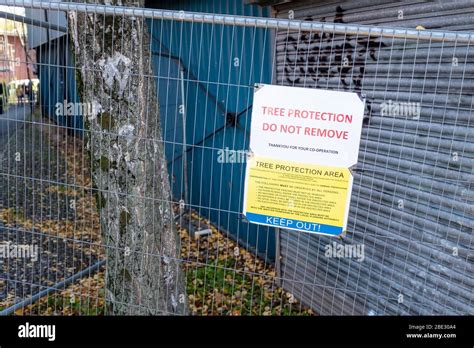 Sign On A Metal Wire Fence Designating A Protected Tree Stock Photo Alamy