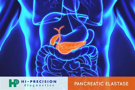 Pancreatic Elastase What Does Your Gut Tell You Businessmirror
