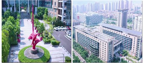 欧姆工业无线遥控器 欧姆无线遥控器 起重机 工程机械无线遥控器 欧姆 重庆 电子技术有限公司