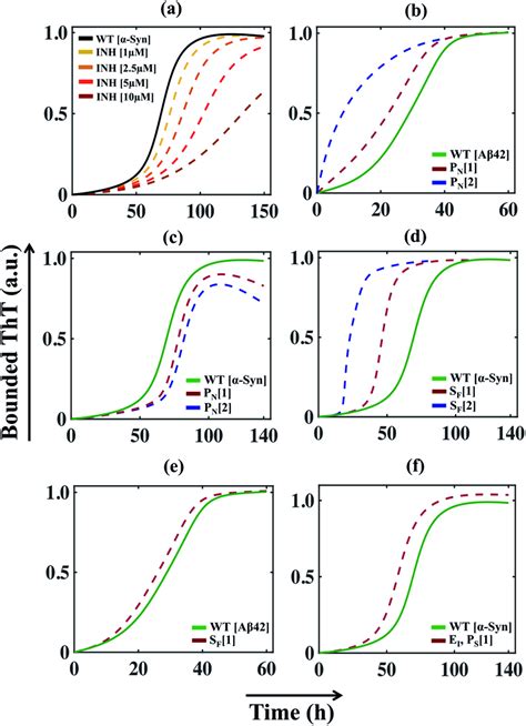 The Model Reproduces Different Dynamical Features Of Amyloid Formation Download Scientific