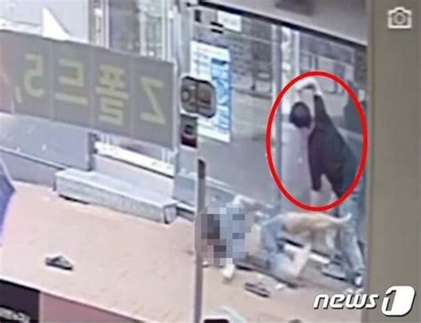 신림역 칼부림 영상 확산…괜히 봤다 누리꾼들 충격 Zdnet Korea