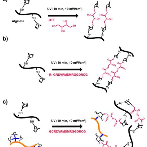 Youngs Modulus Mean ± Sd Of Covalently Crosslinked Alginate Download Scientific Diagram