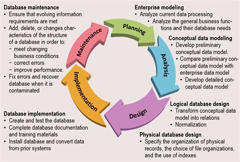 Database Life Cycle Database History In An Information System
