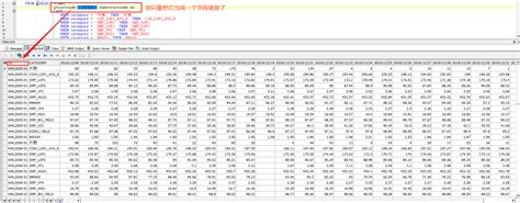oracle 格式转换 clya 博客园