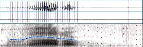 19 spectrogram and waveform showing the voicing and unrelease of the