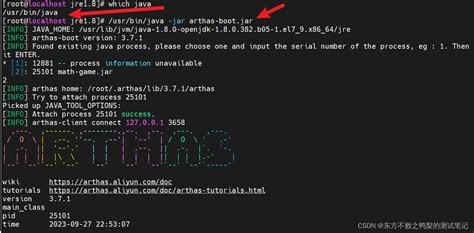 性能测试监控 Java分析工具arthasarthas查看gc次数 Csdn博客