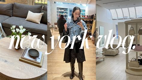 Ny Vlog