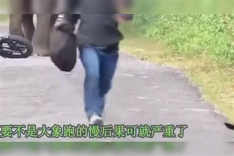 一群狮子躺在马路中间，作死男子疯狂按喇叭，接下来的画面不敢看马路男子狮子