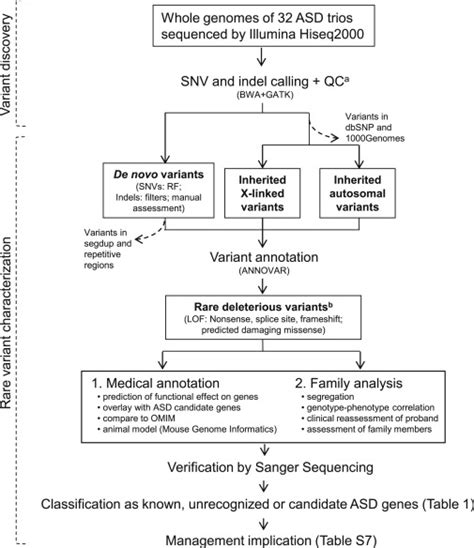 Detection And Classification Of Medically Relevant Genetic Variants