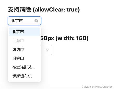 Vue3选择器（select）vue Select Csdn博客