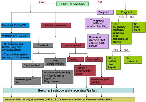 Treatment Algorithm For The Thrombotic And Obstetric Complications Download Scientific Diagram