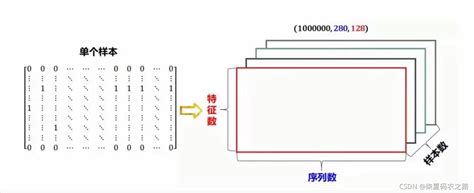 2 自然语言处理学习笔记：神经网络的数据格式 神经网络数据集一般为什么格式文件存储 csdn博客