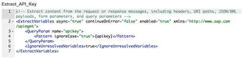 Converting The Apikey Url Parameter To The Apikey Sap Community