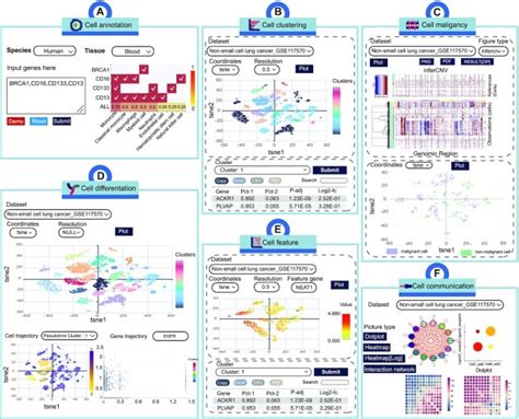 Cellmarker 2 0 An Updated Database Of Manually Curated Cell Markers In Human Mouse And Web