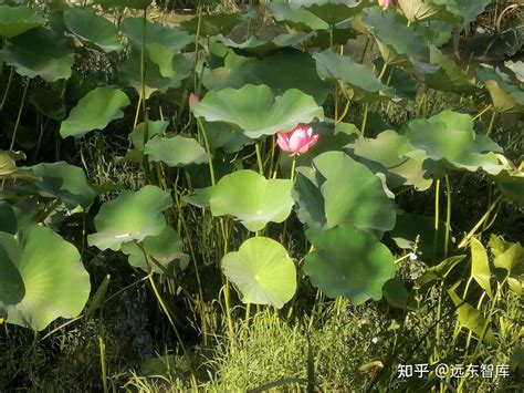 阶级斗争，跟你有什么关系？ 知乎