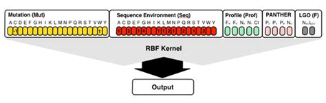 Snpsandgo Predicting Disease Associated Snps Using Go Terms