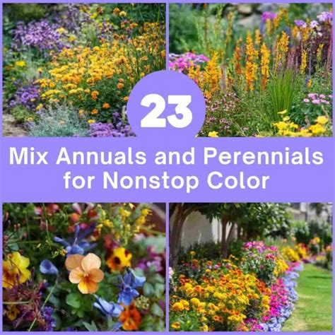 23 Clever Ways To Mix Annuals And Perennials For Nonstop Color