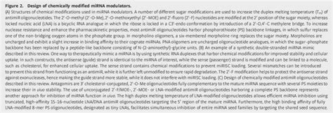 Design Of Chemically Modified Mirna Modulators A Structures Of Download Scientific Diagram