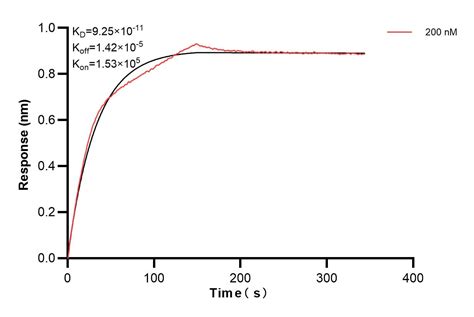 Ythdf3 Antibody 84709 2 Pbs Proteintech