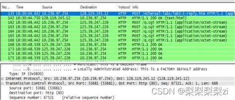 【计算机网络与通信实验2】利用分组嗅探器分析传输层与网络层协议 利用分组嗅探器分析数据链路层协议 Csdn博客