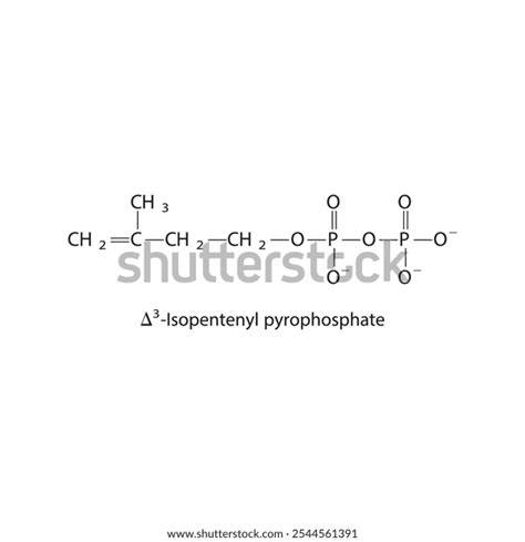 Δ3 Isopentenyl Pyrophosphate Skeletal Structure Diagramorganic Stock Vector Royalty Free