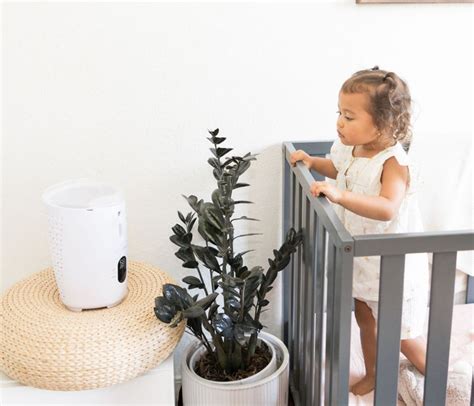 What Does It Mean If Youre A Strep Throat Carrier Dr Noze Best