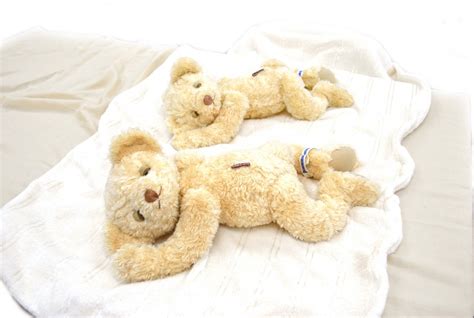 身長体重べアのメモリアルベア 体重ベア・ウェイトベア専門店のベアカフェ