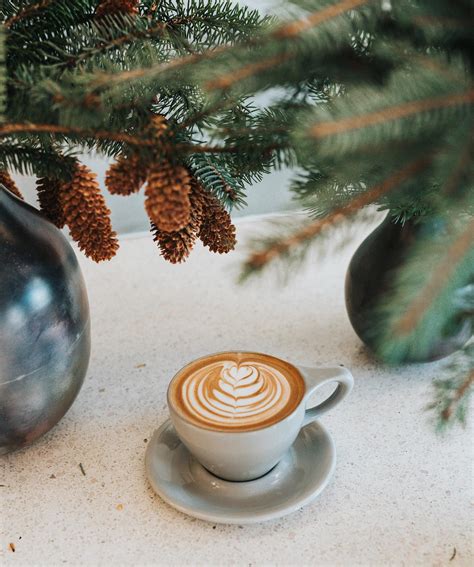 Spades Coffee | Moscow