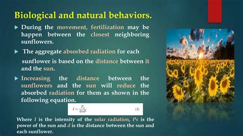 Sunflower Optimization Algorithm Pptx