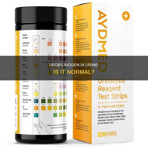 Urobilinogen In Urine Is It Normal Medshun