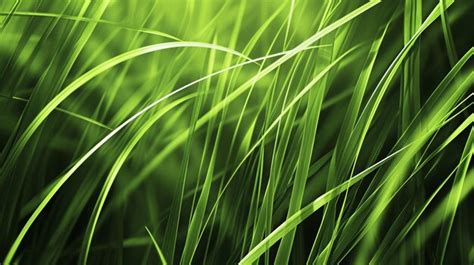 Premium Photo View Abstract Organic Green Lines Grass Field