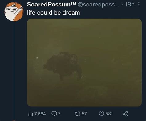 Pin By Ksyroxx On Cod Cod Memes Call Off Duty Call Of Duty World