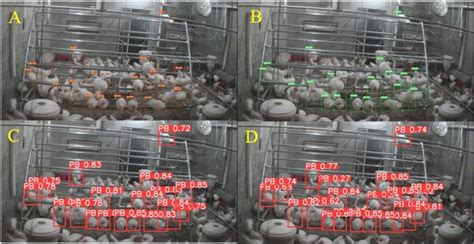 January 2025 Precision Poultry Farming