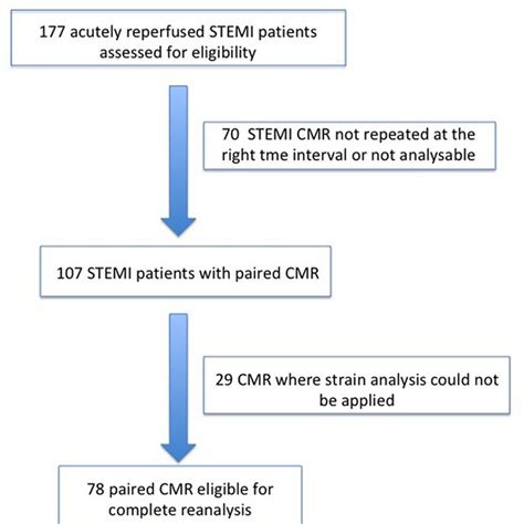 Recruitment Flow Chart Stemi St Elevation Myocardial Infarction Cmr Download Scientific