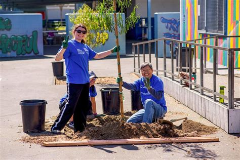 Get Involved Treepeople