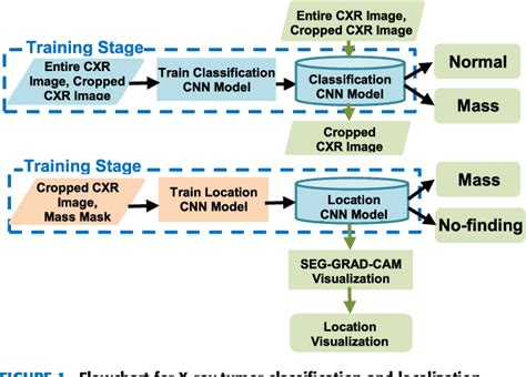 Figure 1 From Lung Tumor Localization And Visualization In Chest X Ray Images Using Deep Fusion