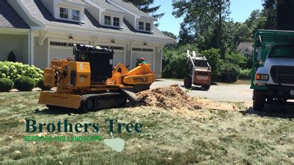 Home BROTHERS TREE SERVICES