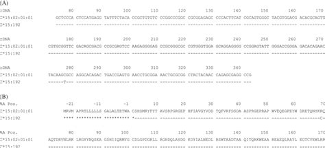 A Alignment Of The Exon And B Partial Protein Sequence Alignment Download Scientific
