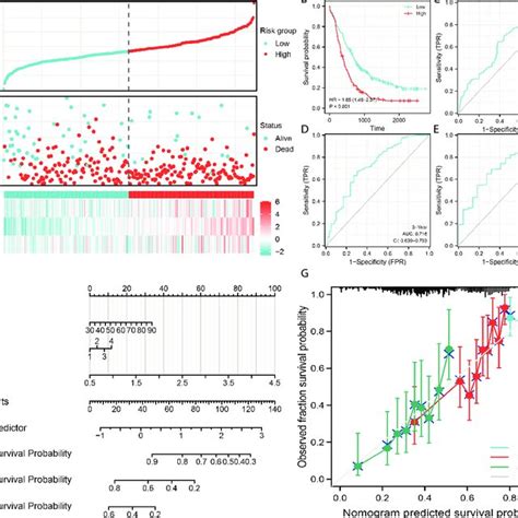 Model Validation And Nomogram A Overview Of The Model In The Download Scientific Diagram