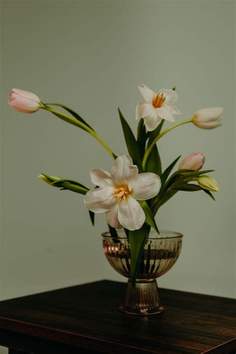 Trader Joes Floral Arrangement Phone Wallpaper Diy