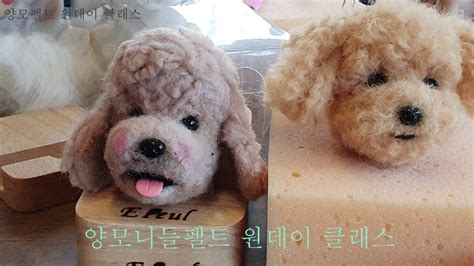 Vlog 양모펠트배우기 양모니들펠트 원데이클래스 푸들 말티푸 애견동반 남양주 카페 이플 Youtube
