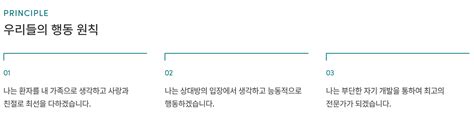 강릉아산병원 자소서 항목 미션 비전 인재상 널스피팅