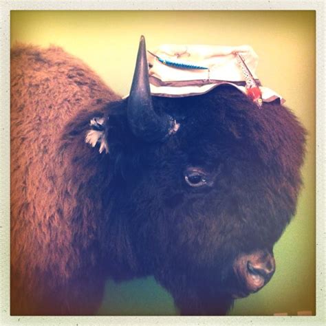 An Old Listing On Foursquare For The Former Gravity Falls Offices At