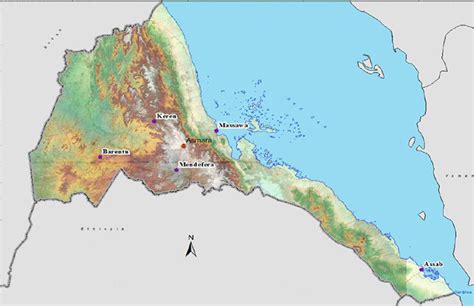 The Diverse Biodiversity Of Eritrea Is A National Treasure Eritrea Ministry Of Information